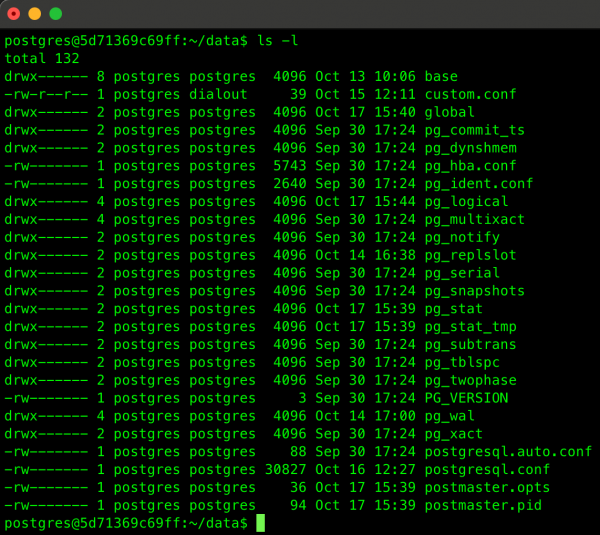Understanding Postgresqls Pgdata Folder In Comparison To Sql Server 4752