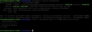 Comprehensive Guide: Setting Up PostgreSQL 17 on Ubuntu 24.04 – SQLpassion
